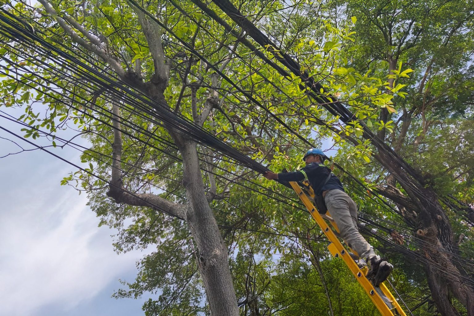 Terus Berkomitmen Wujudkan Layanan Andal, PLN Icon Plus Bersama Pemkot ...
